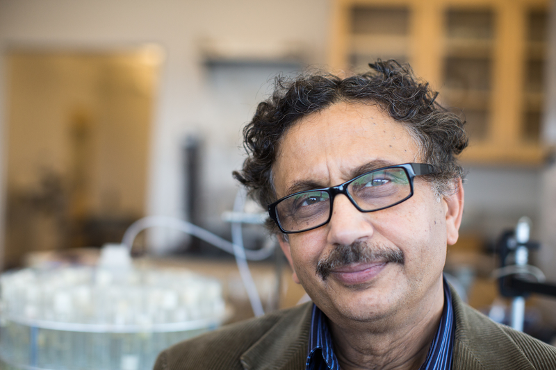 SenGupta gives 'Leading Edge Lecture' at the University of Toronto | P ...