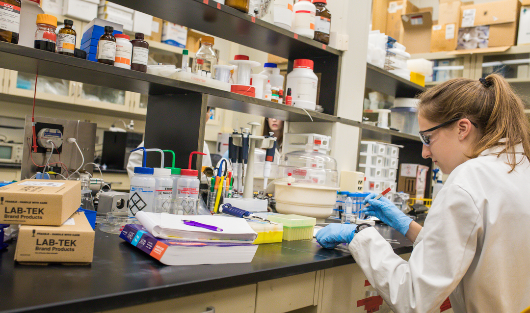 Henry Luce Foundation grant supports research opportunities for women ...