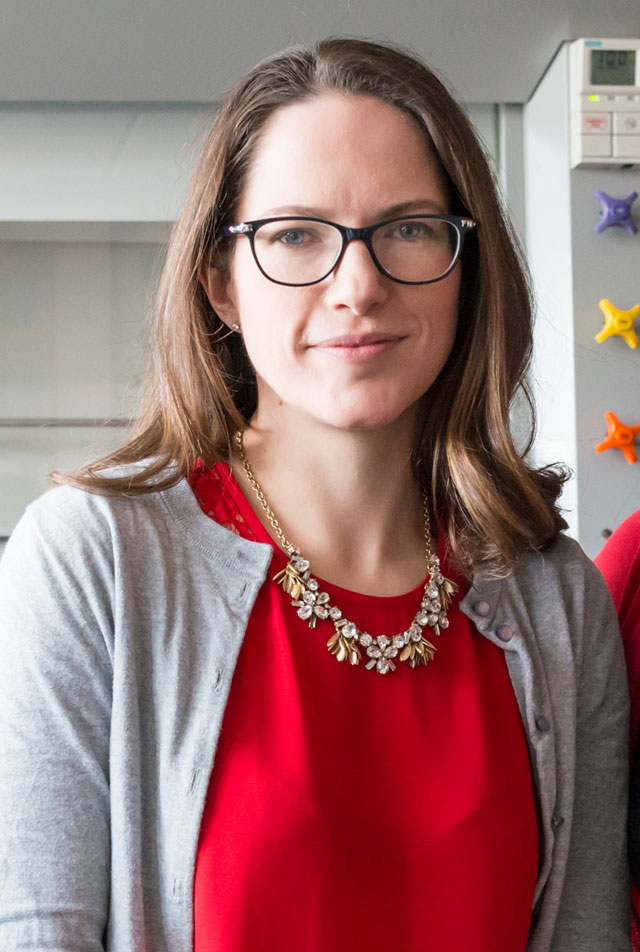 Healing bone faster | P.C. Rossin College of Engineering & Applied Science