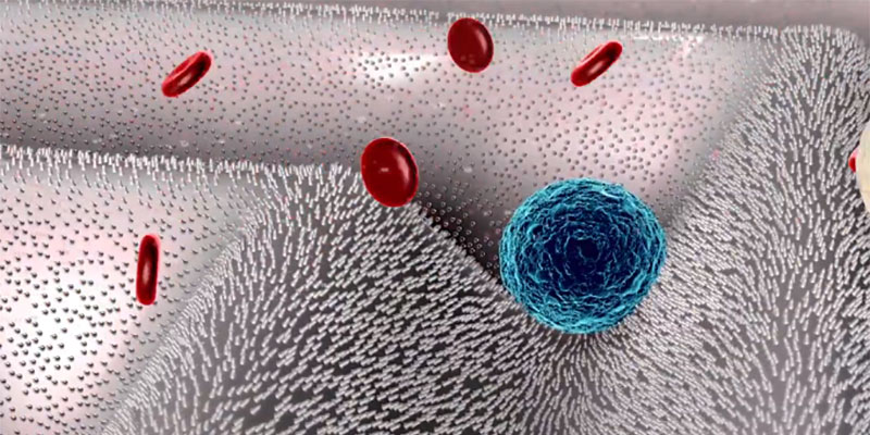 Catch-and-release tumor cell detection device undergoes clinical trial ...