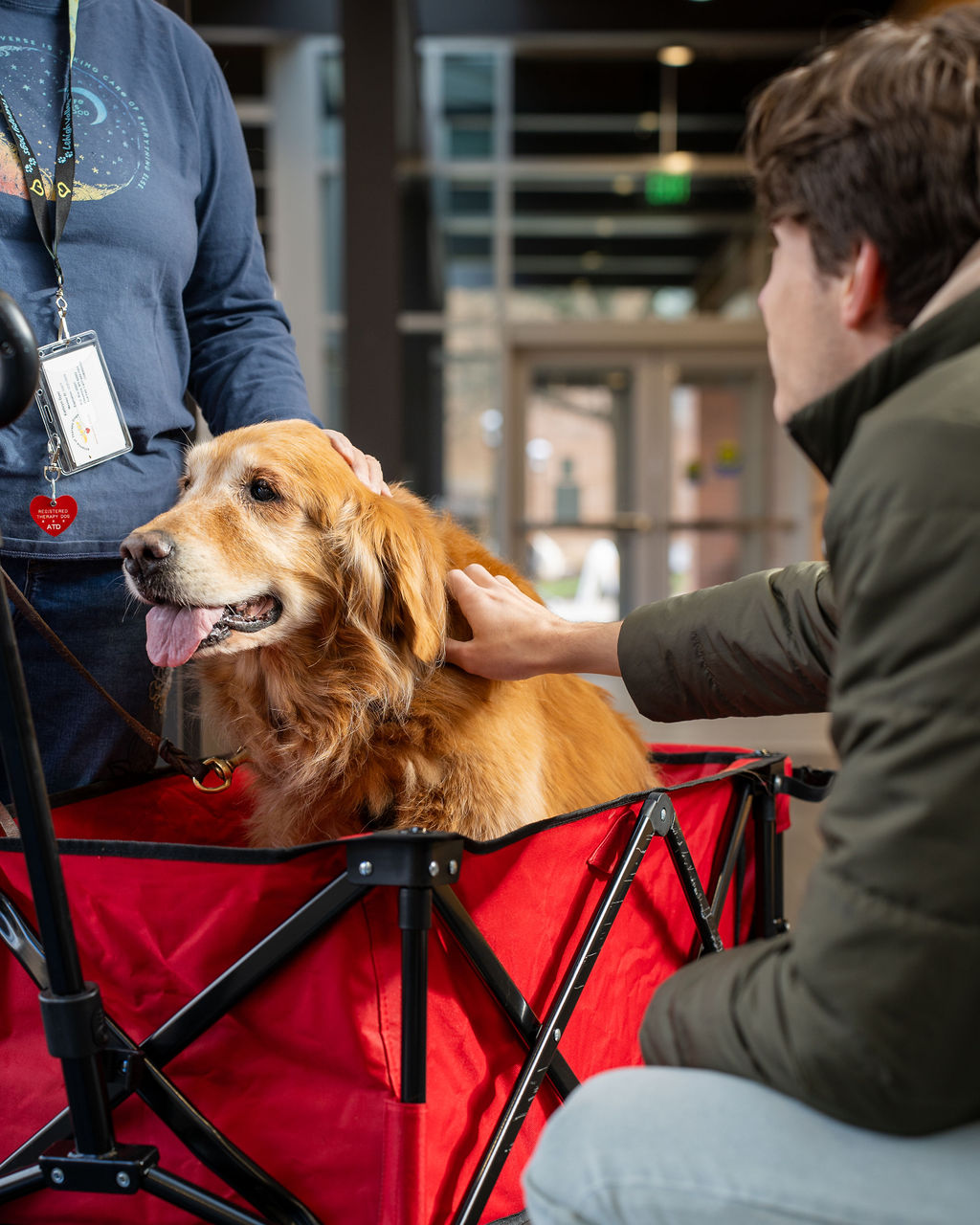 Pawsitivity | P.C. Rossin College of Engineering & Applied Science