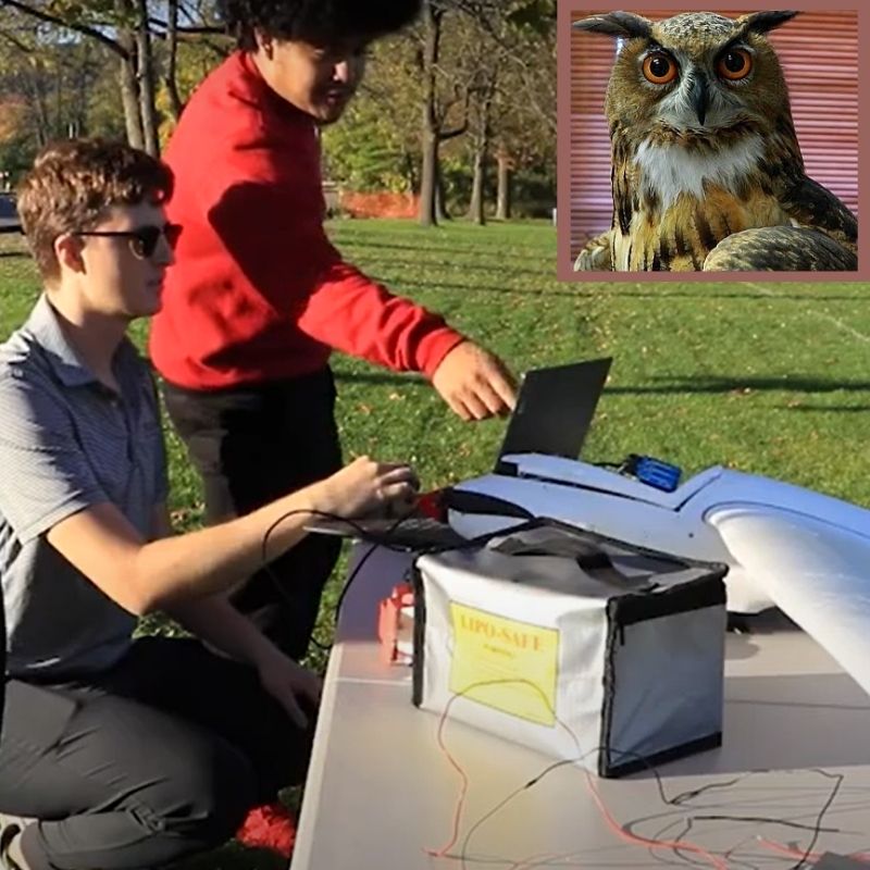 Video: Learning from owls to design quieter aircraft | P.C. Rossin ...