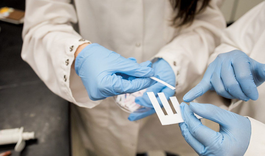 Undergraduate researchers win NIH award for innovative sickle cell ...