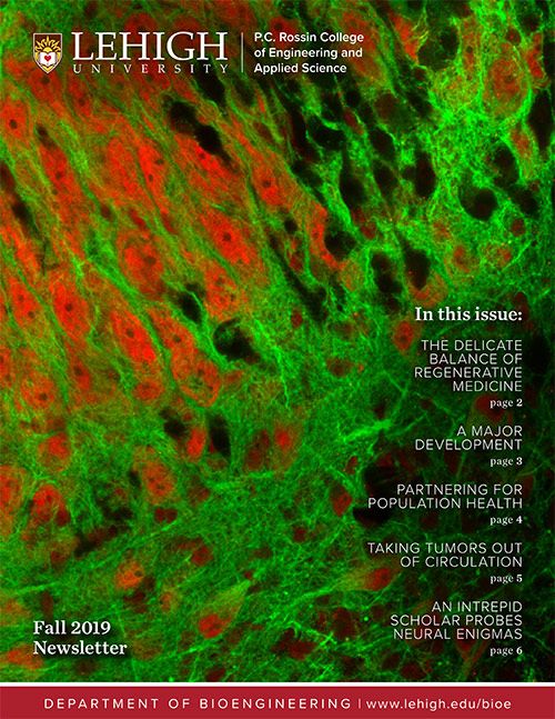 Bioengineering | P.C. Rossin College of Engineering & Applied Science